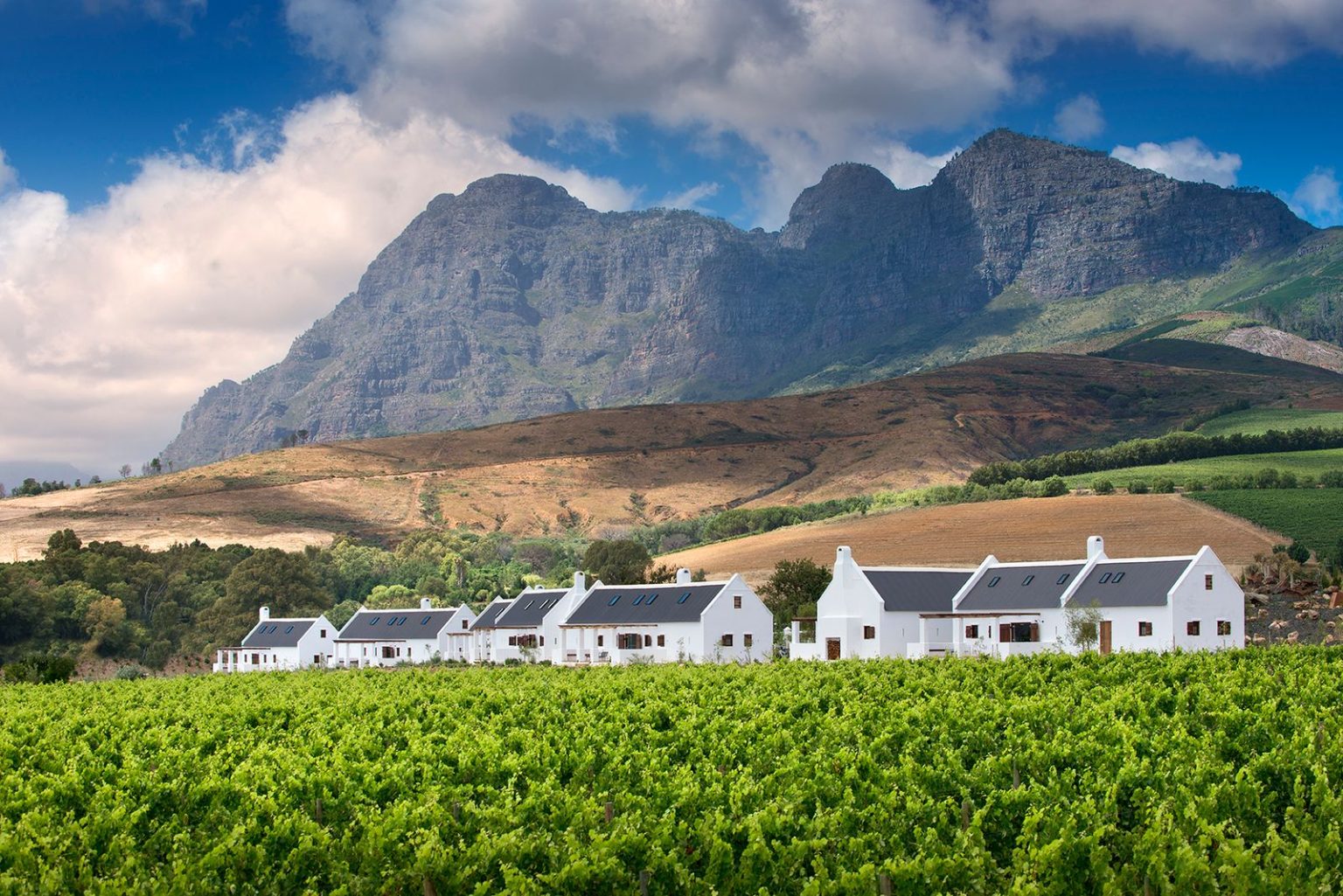 A Day at Babylonstoren Wine Estate. - Cape Ability Tours